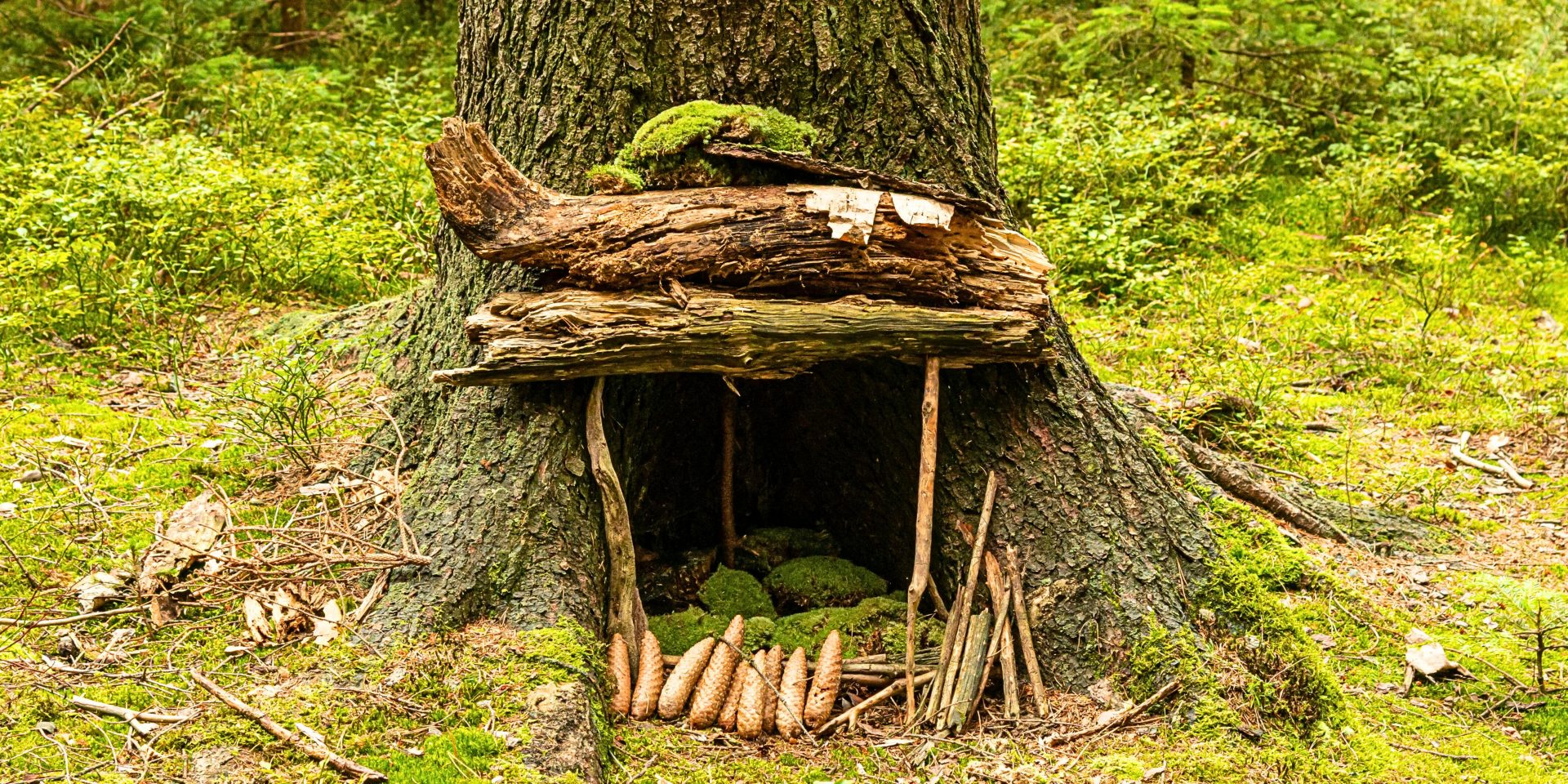 Top 5 Irish Myths and Legends